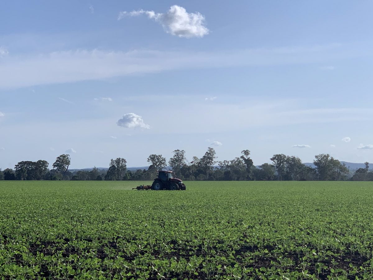 About Us - Slater Farms