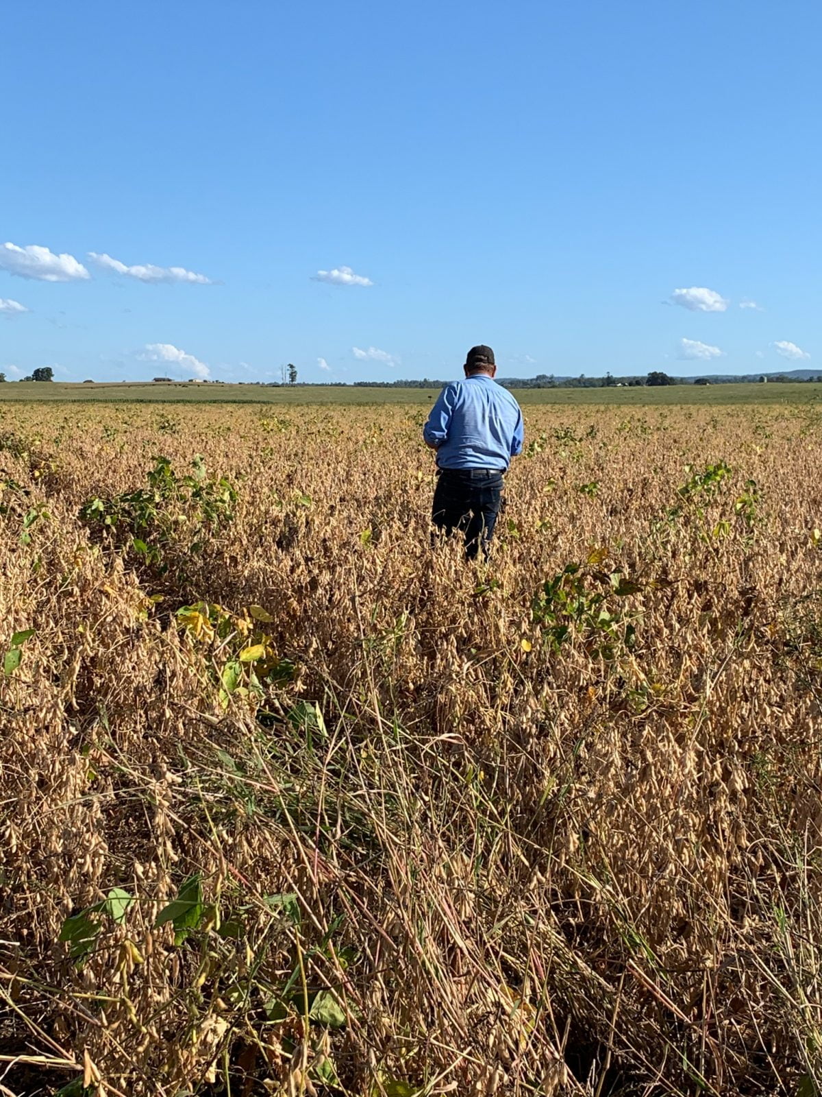 What We Grow - Slater Farms